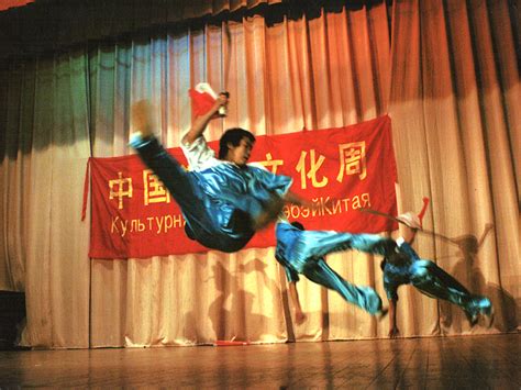 武术表演 武术表演 南皮红升文武学校