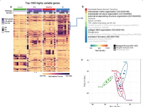 Rna Sequencing Analysis In Cells From Malignant Effusions Baseline