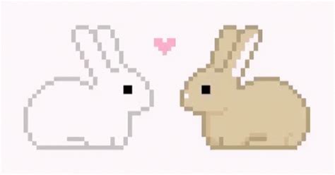 Bunny Love Gif Bunny Love Cute Discover Share Gifs