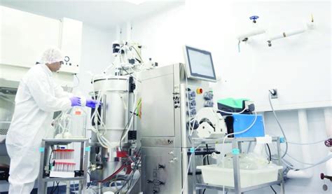 Mihaela Munteanu Posted On Linkedin