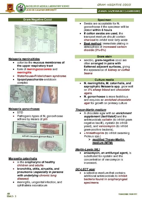 Gram Negative Cocci Laboratory Notes Gram Negative Cocci Aik