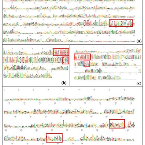 Consensus Sequence Logos With Highlighted Signature Motifs In A Ice
