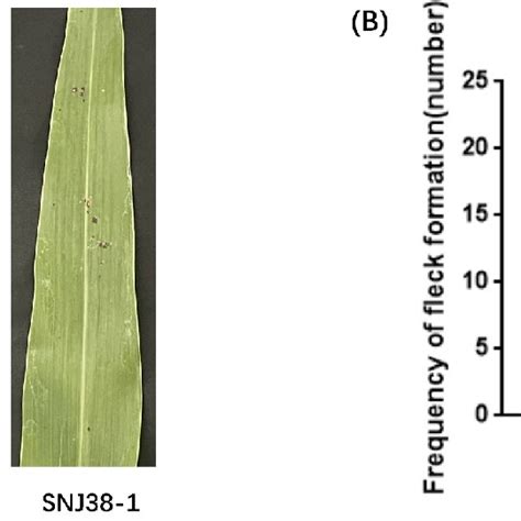 Disease Spot Representative Images A And Histogram Of The Frequency Download Scientific