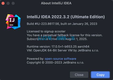 intellij idea 2022 3 2 最新破解教程 永久激活教程 附带工具下载 ide激活网