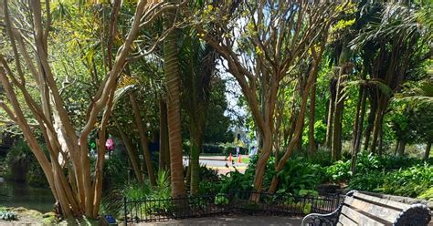 Post 5 Too Many Options