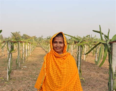 Microfinance Program Non Governmental Organization