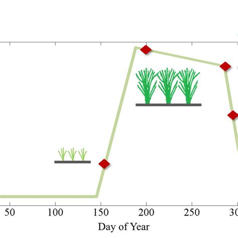 Pdf Rice Crop Calendar Based On Phenology Analysis From Time Series