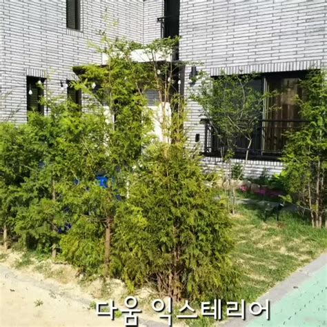 민락동 대문공사 현장 조경조경인테리어조경인테리어디자인조경디자인데크시공합성데크시공실내조경외부조경외부시설물