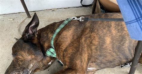 We Are Attempting To Seek Shelter For The Next Few Nights Album On Imgur