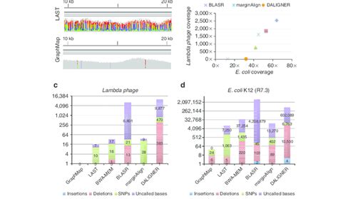 Sensitivity And Mapping Accuracy On Nanopore Sequencing Data A