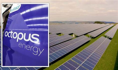 Octopus Energy Strikes Eu Deal To Harness Huge Untapped Potential And