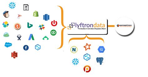 Panopticon Integration Lyftrondata