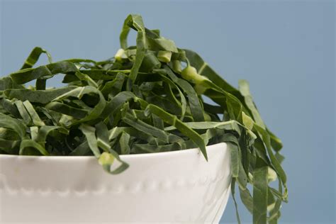 Repollo Picado En Tiras En Una Olla Aislada 13134754 Foto De Stock En Vecteezy