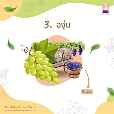 elixir 3 องุ่น 🍇 องุ่น รวมถึงผลไม้ตระกูลเบอร์รี มีสารเรสเวอราทรอล