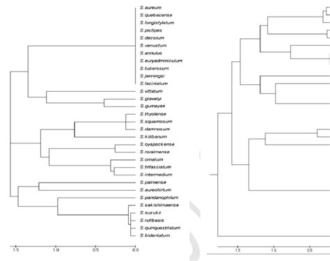 Phylogenetic Tree Based On ITS1 Sequences Generated By UPGMA Method Download Scientific Diagram