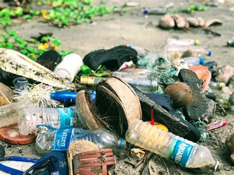 Microplastics Detected In Human Lung Tissue Environmentjournal