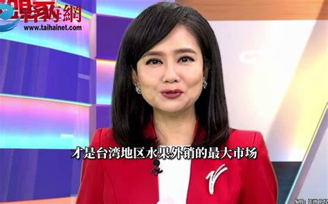 大陆暂停台湾芒果输入 陈吉仲呛大陆市场根本不重要 谢龙介： 胡说八道 自欺欺人 台海网 台海网 哔哩哔哩视频