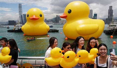 ฮ่องกงต้อนรับ เป็ดเหลืองยักษ์ หวนโชว์ตัวในรอบ 10 ปี คราวนี้มาแบบเป็นคู่