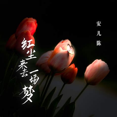 红尘来去一场梦 伴奏 Youtube Music