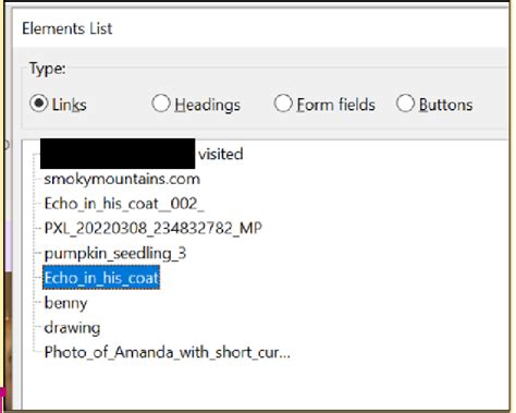 While Using Nvda The User Hears Links For Images That Do Not Make