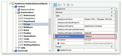 How To Specify A Display Member For A Lookup Editor Detail Form Caption And More Xaf Cross