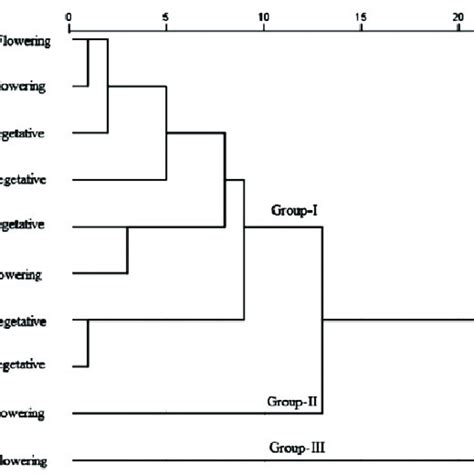 Dendrogram Obtained By Hierarchical Cluster Analysis Hca Based On