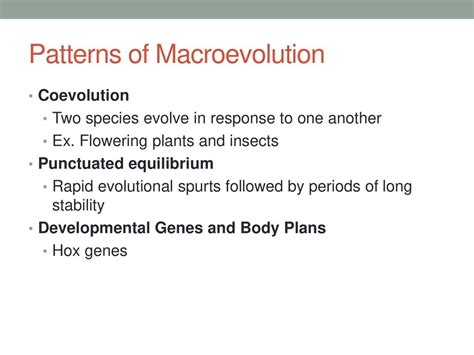 Section 1 The Fossil Record Ppt Download