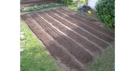 Коя е най подходящата почва за зеленчуците Български Фермер