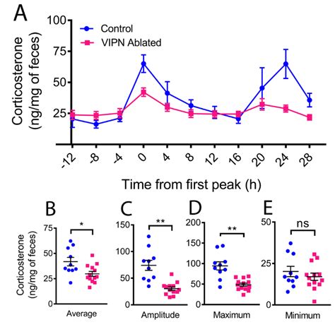 Ablation Of Vip Neurons Download Scientific Diagram