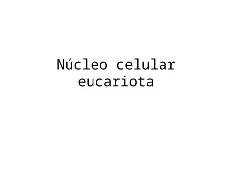 Ppt Núcleo Celular Eucariota Dokumentips
