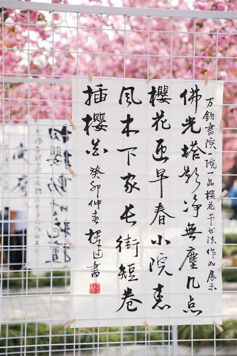2023第四届樱花节 西京新闻网