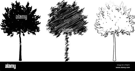 Silhouettes Of Trees Stock Vector Image And Art Alamy
