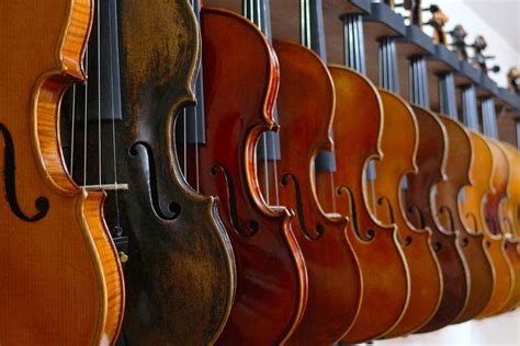 The Violinists Toolkit Part 2 Spare Violin Strings — Triad Suzuki Academy