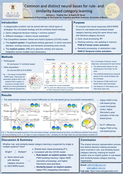 pdf poster common and distinct neural bases for rule and similarity