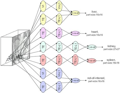 A Conceptual Visualization Of The Usage Of Contextspecific Features Download Scientific Diagram
