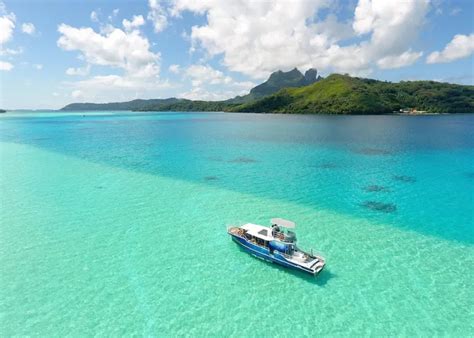 Glass Bottom Boat Excursion Reef Discovery In Bora Bora