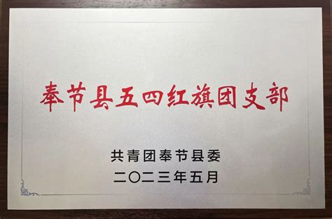 喜报！奉节法院团支部被表彰为奉节县“五四红旗团支部”澎湃号·政务澎湃新闻 The Paper