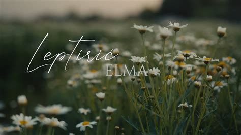 Elma Leptirić Official Lyric Video Youtube