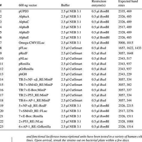 Restriction Enzyme Mixes And Expected Fragment Sizes Download Scientific Diagram