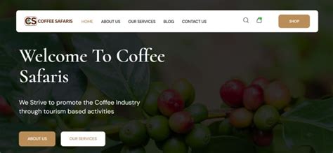 Design And Build For You A Fully Functional Website By Calvin Lumu Fiverr