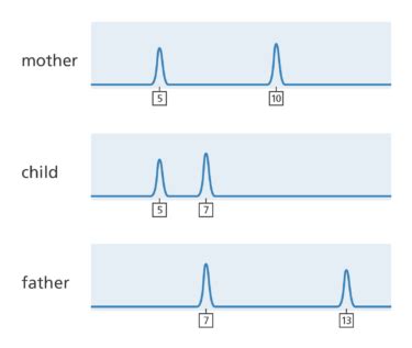 What DNA Is Profiling Used For