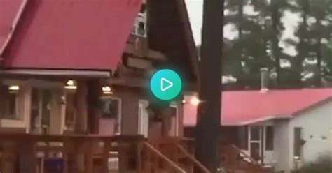 Wtf Album On Imgur