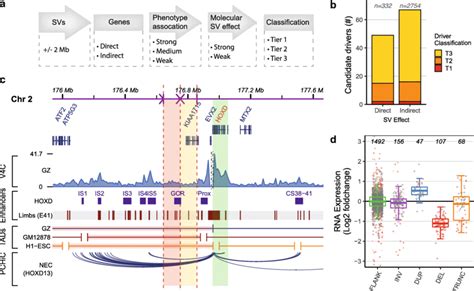 Prediction Of Candidate Driver Genes Directly And Indirectly Affected Download Scientific