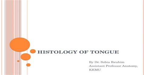Histology Of Tongue By Dr Sobia Ibrahim Assistant Professor Anatomy