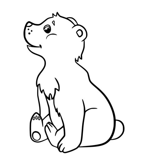 Beruang Muda Duduk Di Tanah