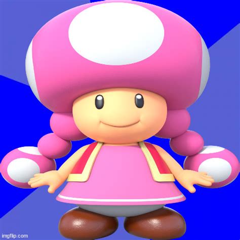 Toad Girl Blank Template Imgflip
