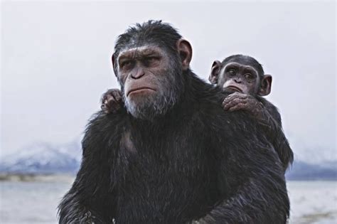 Source Code Ending Explained Unraveling The Ethical Dilemmas And Time Loop Paradoxes In The Sci