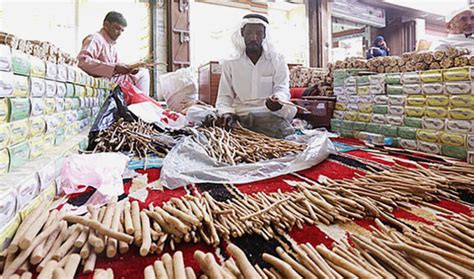 Miswak Actualités Et Dernières News Internationales En Français