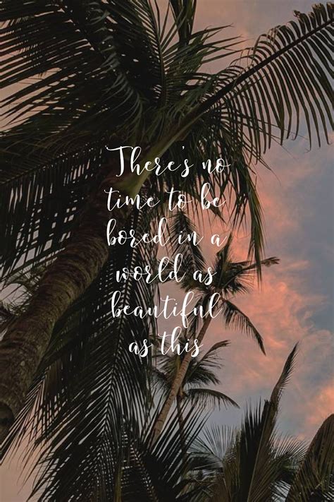 Funny Names For Palm Trees At Stephanie Le Blog