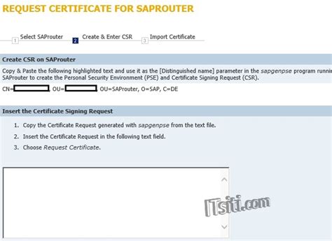 Saprouter Snc Setup And Configuration